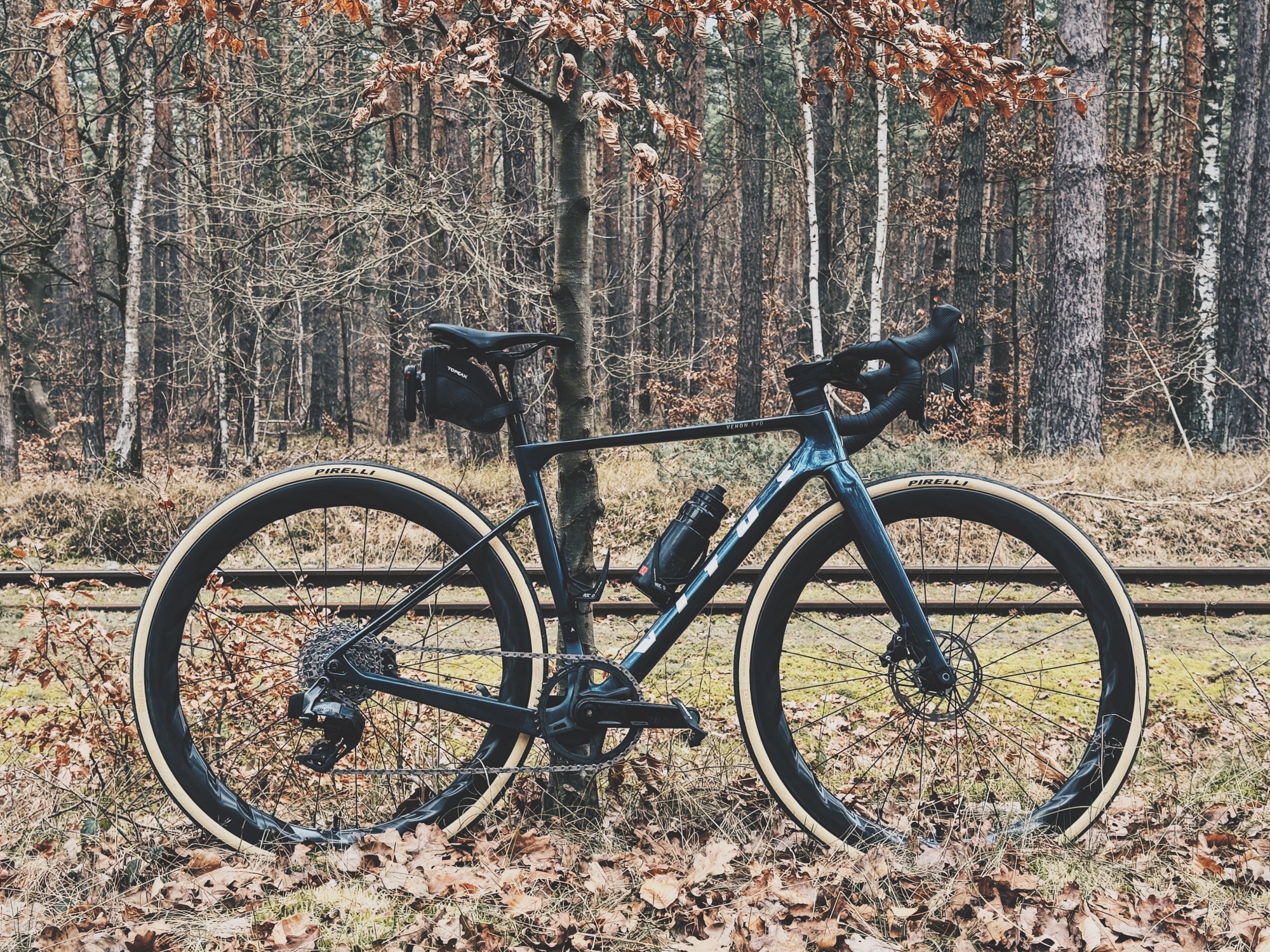 Erfahrungsbericht Bestellung Light Bicycle Laufradsatz 1042g | Seite 3 ...